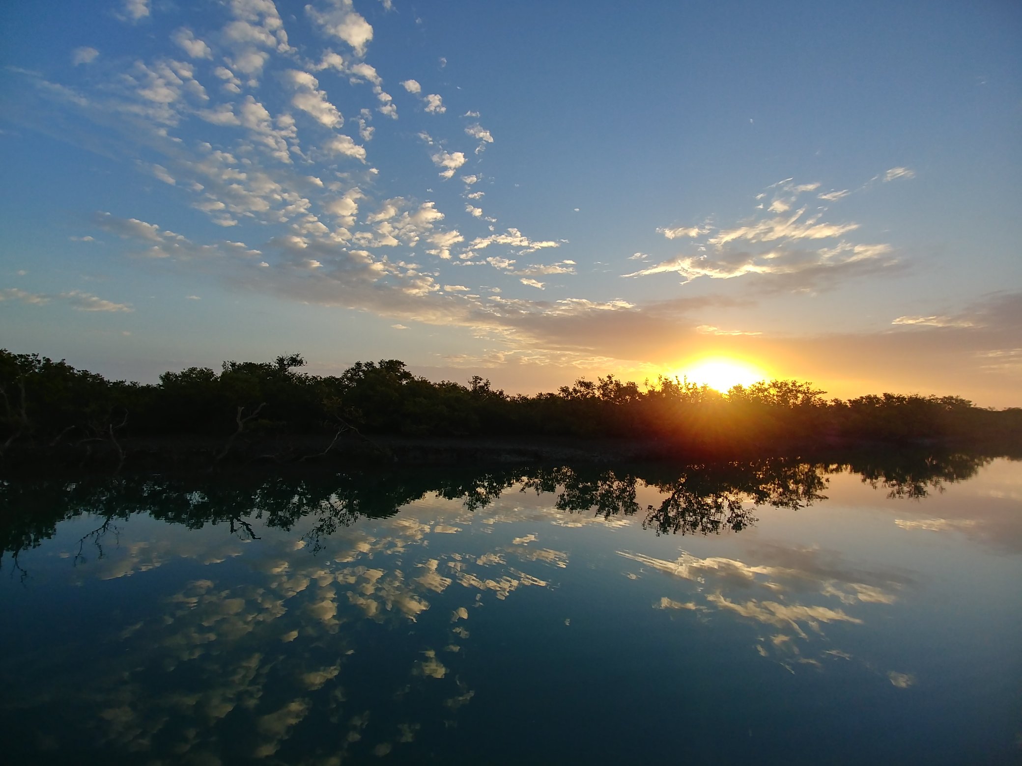 Karachi mangroves 1 – Pakistan Weather Portal